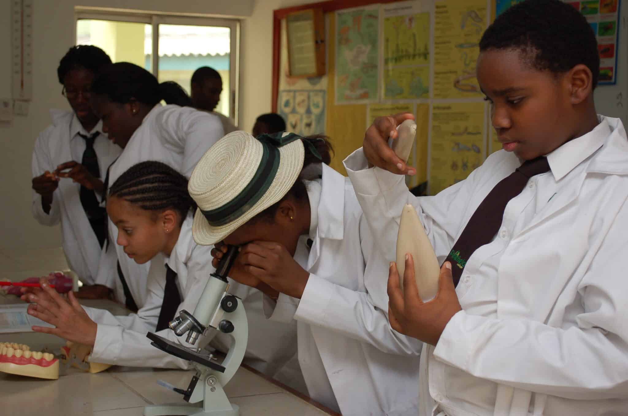 School Feature: Pinefield Schools